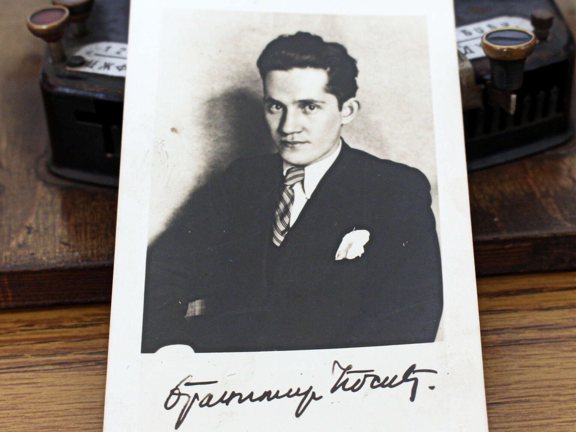 Branimir Ćosić: Tragovima od Štitara do "Pokošenih polja" - Дистрикт